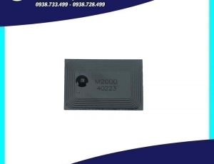 Chip Epson M2010